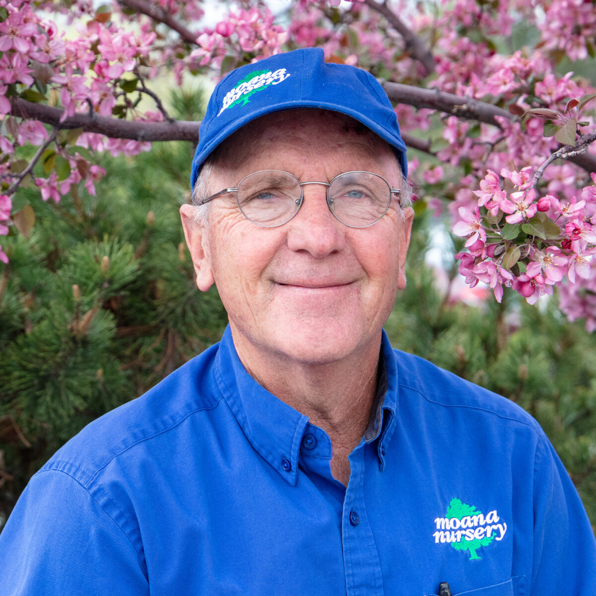 Plant Doctor Consultation Services | Servicing Reno, Sparks, & Tahoe ...