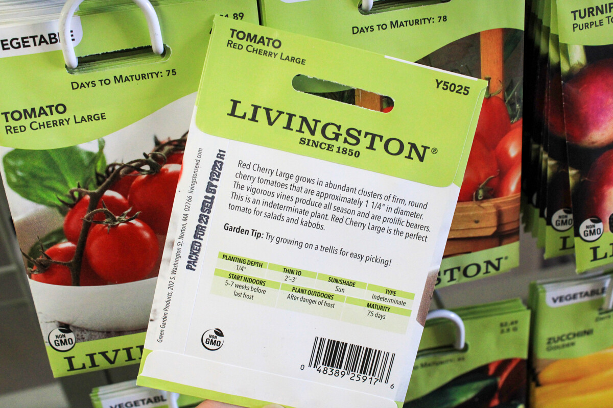 Ready, Set, Seed! | Moana Nursery