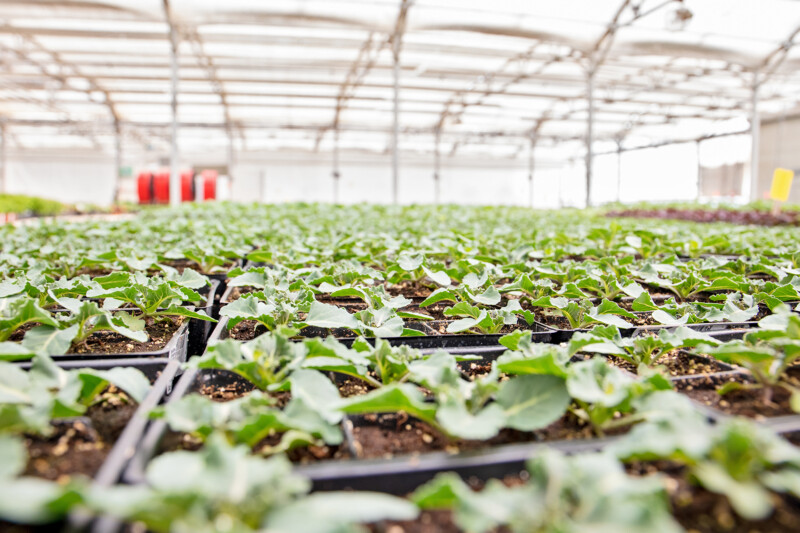 Moana Farm: Minden, Nevada | Servicing Reno, Sparks, & Tahoe | Moana ...