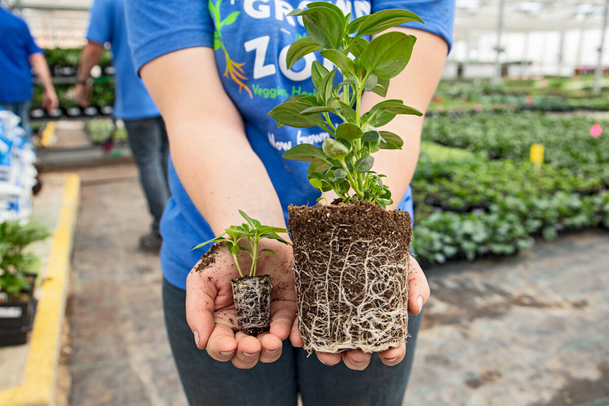 Moana Farm: Minden, Nevada | Servicing Reno, Sparks, & Tahoe | Moana ...