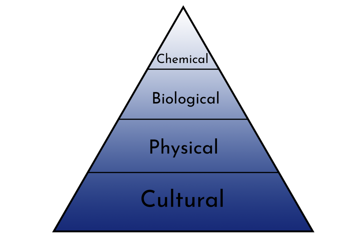How To Take Out Garden Pests With IPM | Moana Nursery
