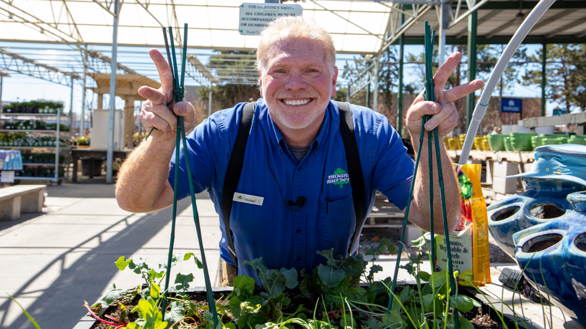 Plant Doctor Consultation Services | Servicing Reno, Sparks, & Tahoe ...