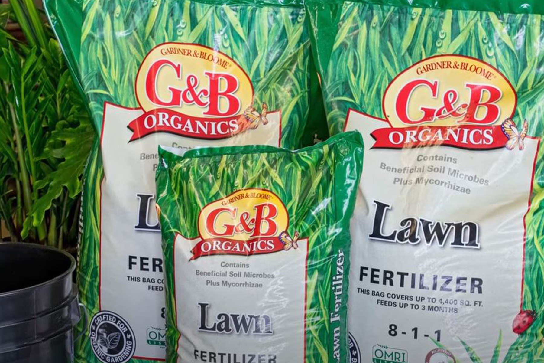 G B Organics Lawn Fertilizer Reno Sparks Lake Tahoe Moana Nursery G B Organics Lawn Fertilizer Reno Sparks Lake Tahoe Moana Nursery