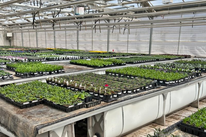 Moana Farm: Minden, Nevada | Servicing Reno, Sparks, & Tahoe | Moana ...