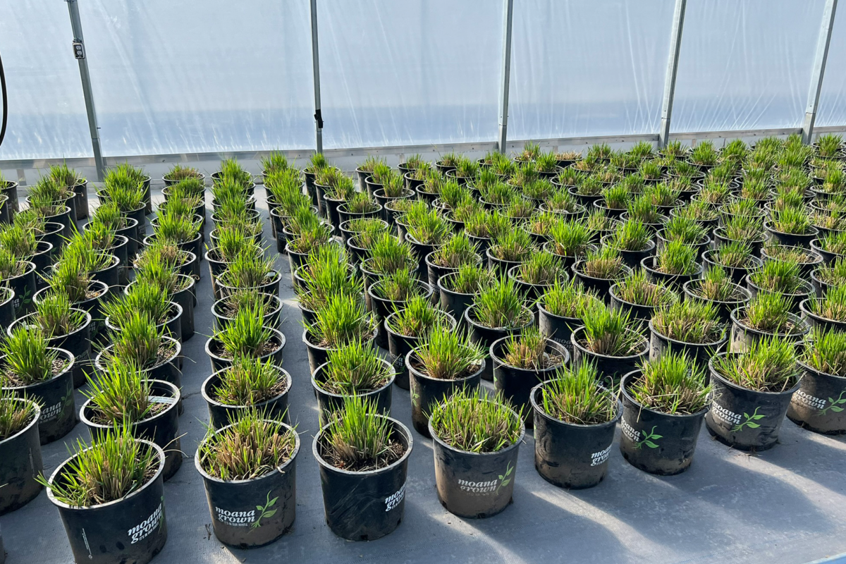 Moana Farm: Minden, Nevada | Servicing Reno, Sparks, & Tahoe | Moana ...