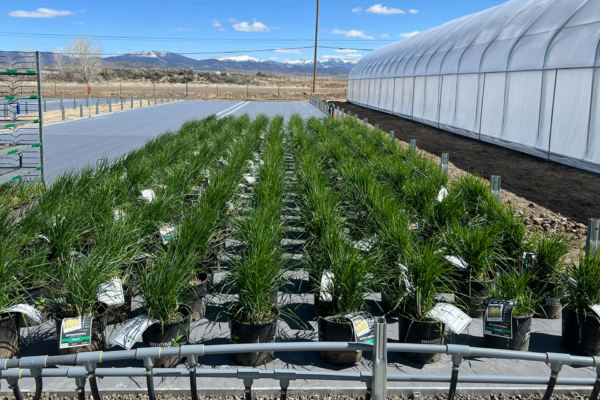 Moana Farm: Minden, Nevada | Servicing Reno, Sparks, & Tahoe | Moana ...