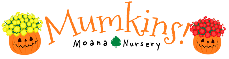 Mumkins | Servicing Reno, Sparks, & Tahoe | Moana Nursery