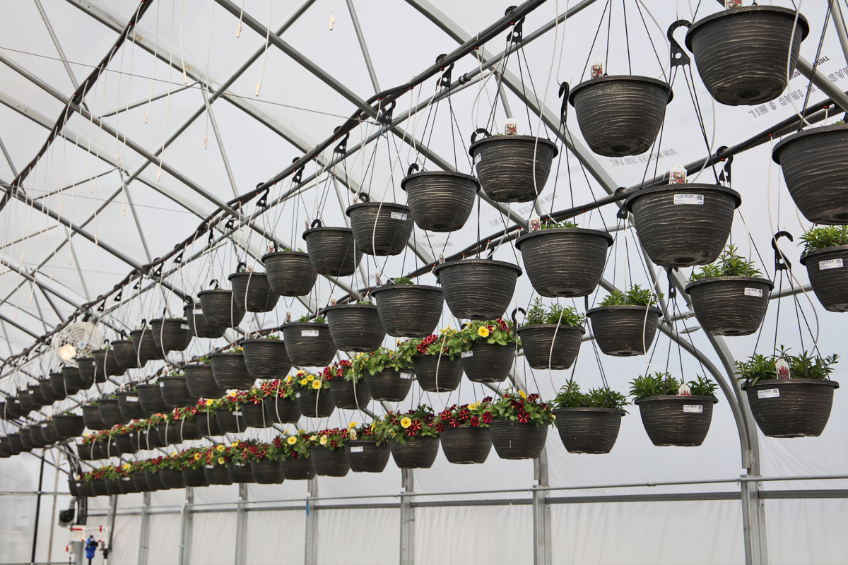 Moana Farm: Minden, Nevada | Servicing Reno, Sparks, & Tahoe | Moana ...