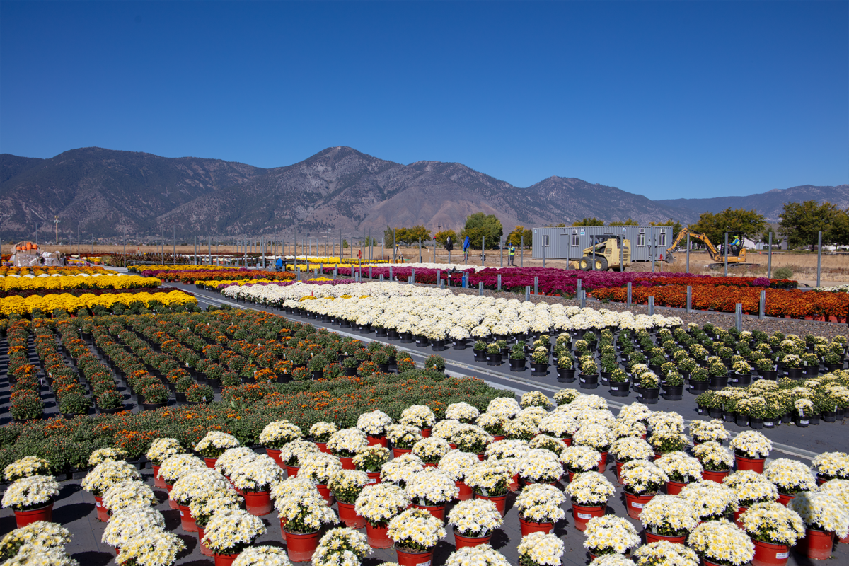 Moana Farm: Minden, Nevada | Servicing Reno, Sparks, & Tahoe | Moana ...