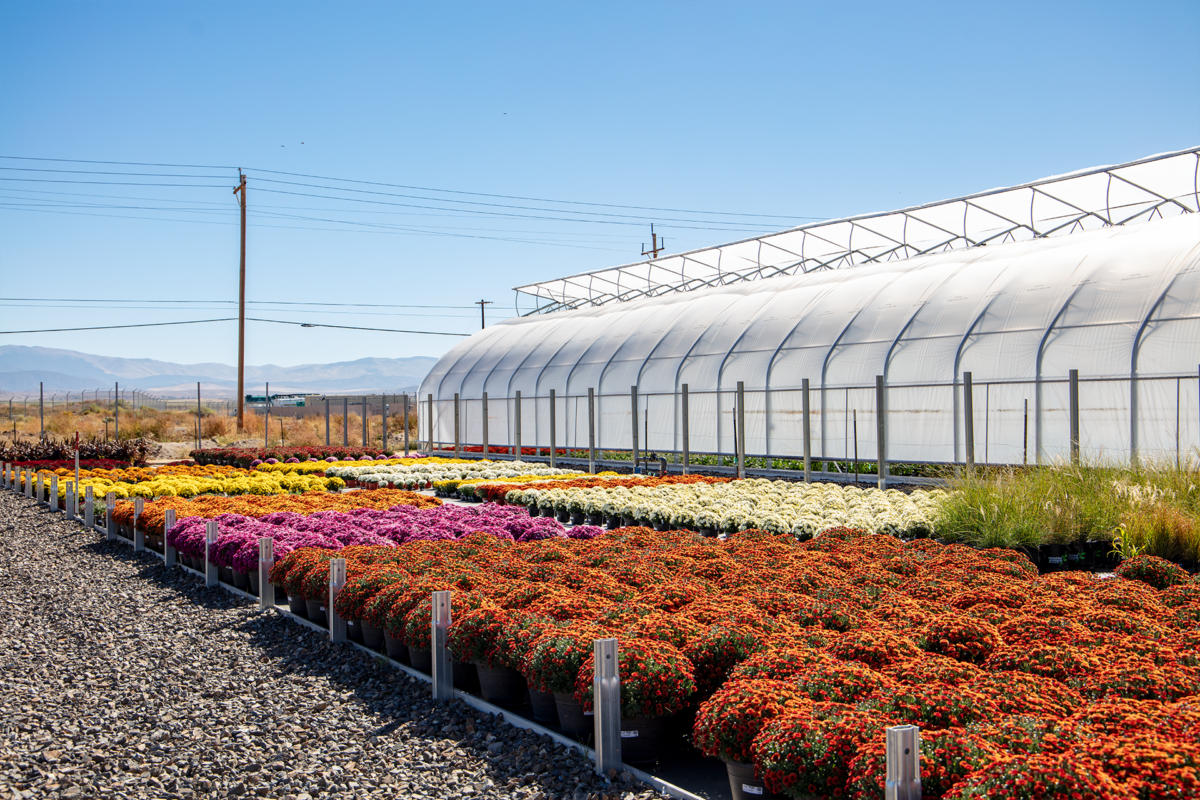 Moana Farm: Minden, Nevada | Servicing Reno, Sparks, & Tahoe | Moana ...