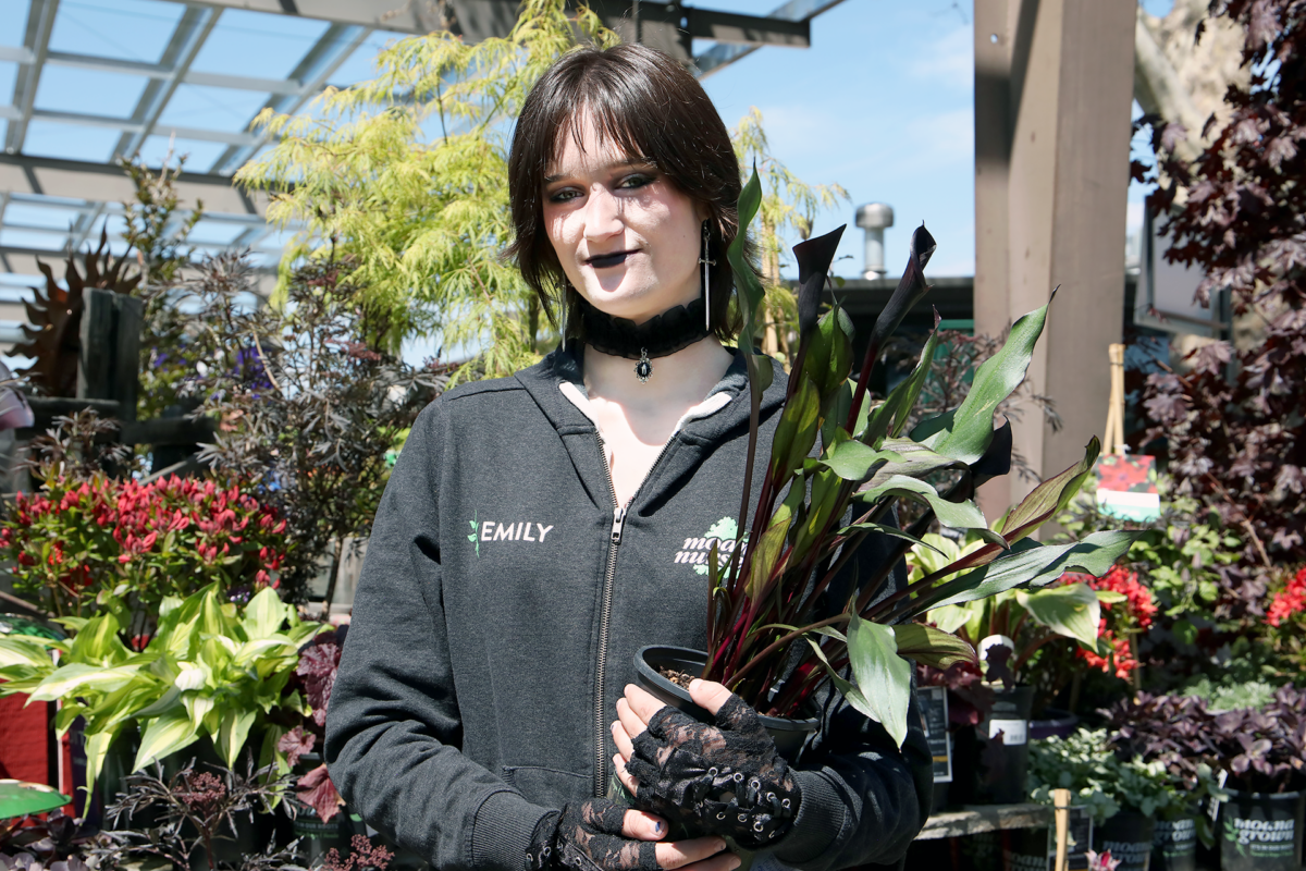 Native Plants for Northern Nevada’s High Desert | Moana Nursery ...